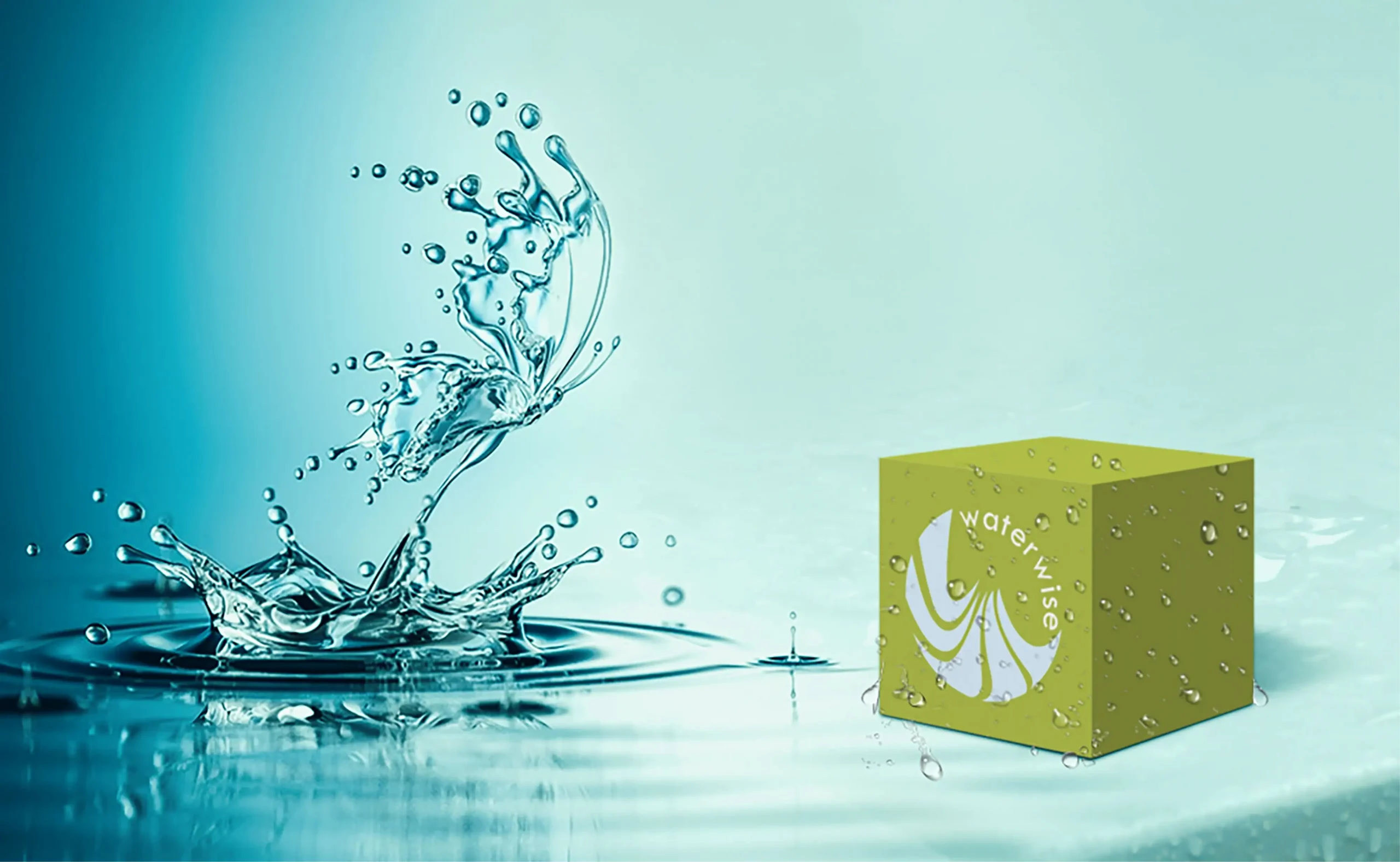 Waterwise - Lifescale Consultancy
